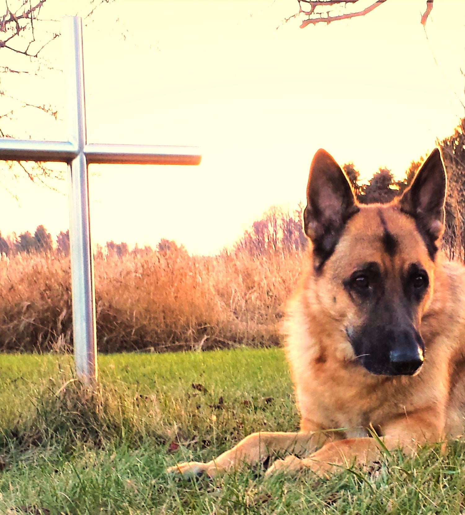 Everlasting Cross™ Memorial, Cremation Urn and Personalized Engraving